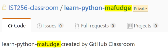 Course Setup - IST256